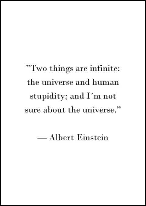 Two things are infinite - the universe and human stupidity - Citat ...